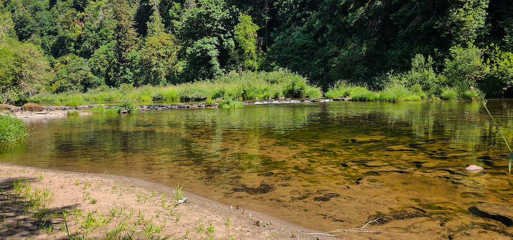 Beautiful Riverfront Retreat On The Famous Smith River | Whitetail ...