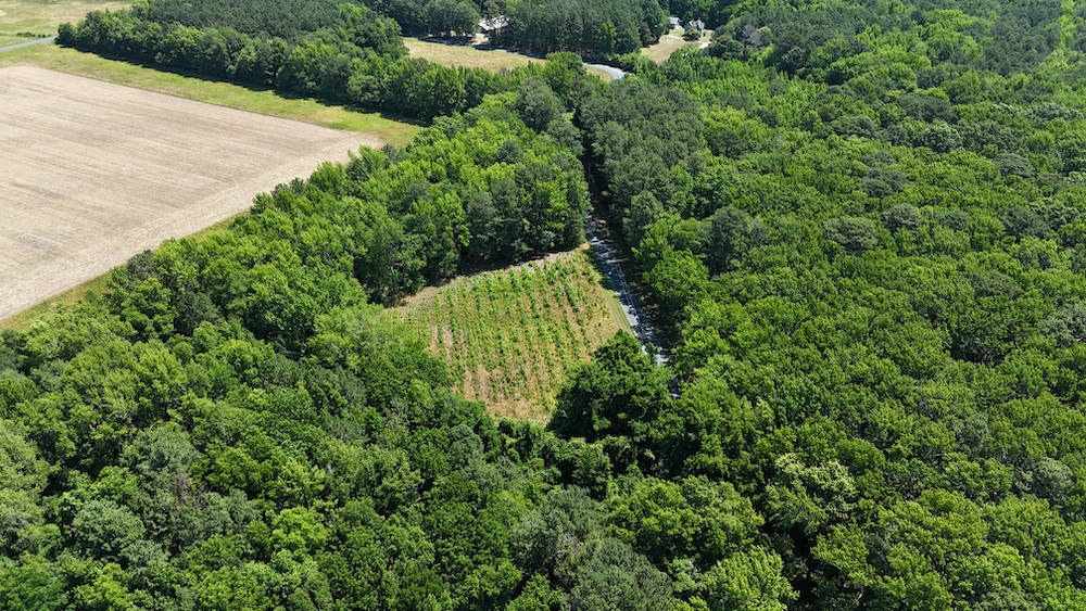 Small Acreage Tract With Ag Field And Woods In Nanticoke, Maryland ...