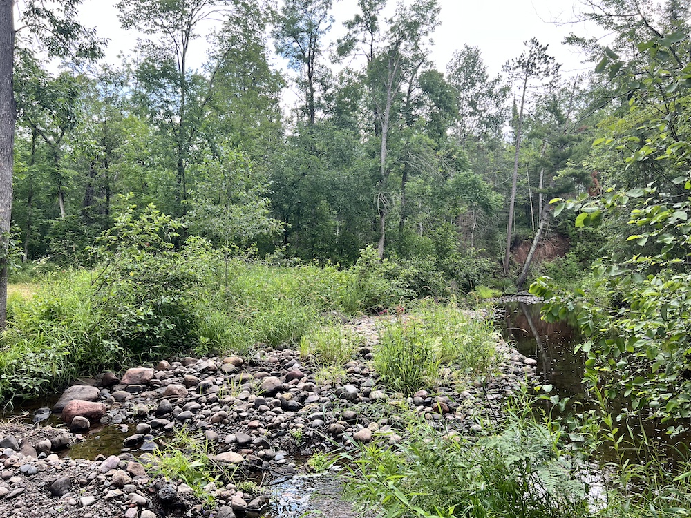 Little Bremen Creek Hunting & Recreational Retreat | Whitetail Properties