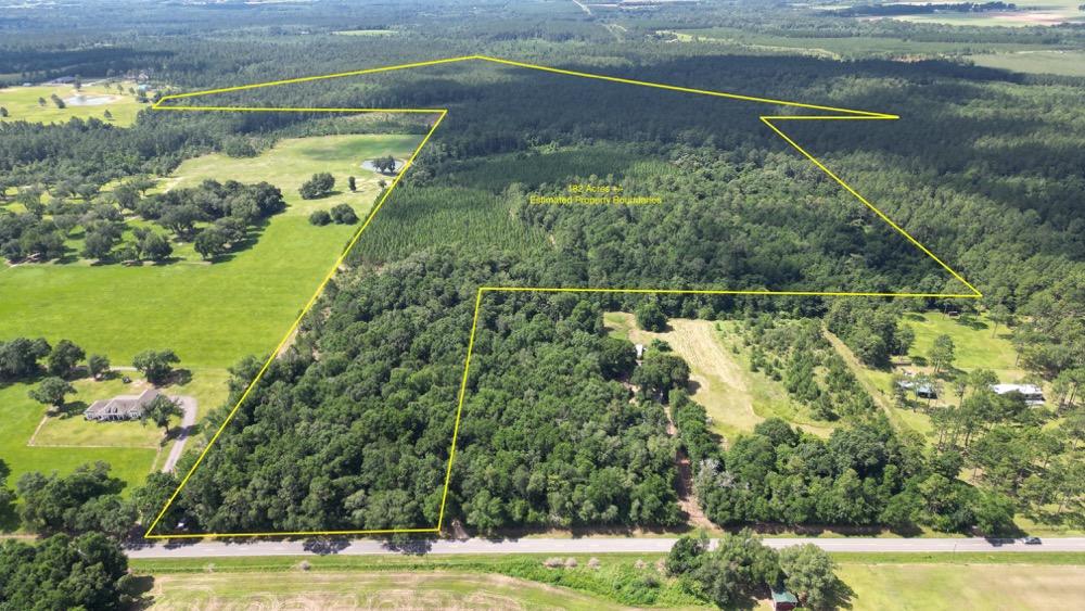 Wonderful Wooded Acreage Bordered By The Blackwater River With Nice ...