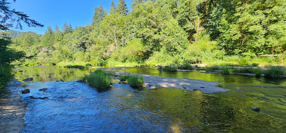 Beautiful Riverfront Retreat On The Famous Smith River | Whitetail ...