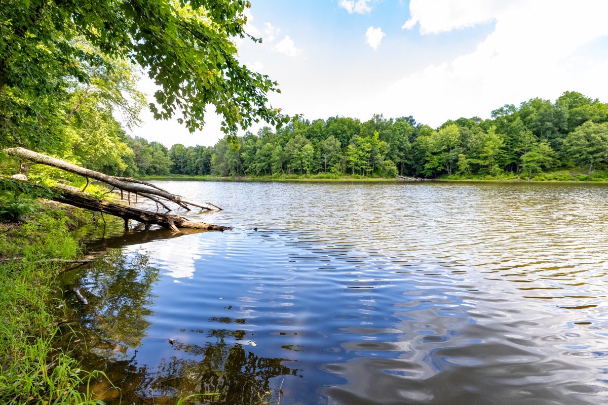 Hunting Tract With A 5-Acre Lake And Build Site Potential | Whitetail ...