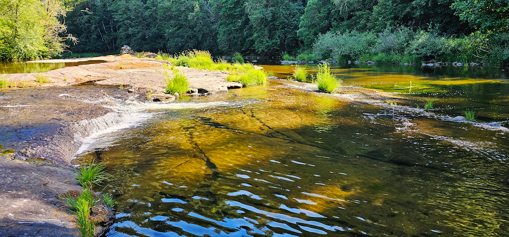 Beautiful Riverfront Retreat On The Famous Smith River | Whitetail ...