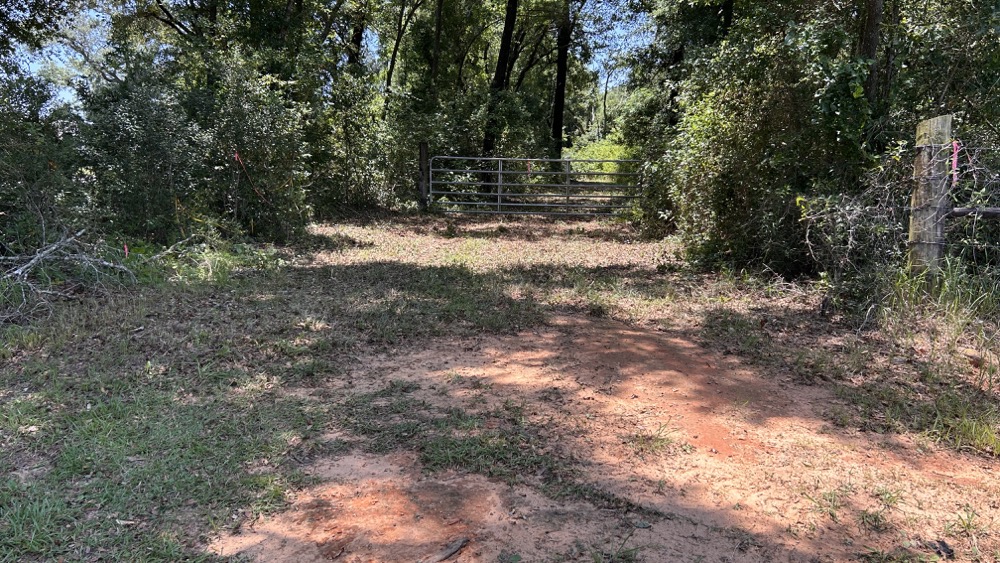 Wonderful Wooded Acreage Bordered By The Blackwater River With Nice ...